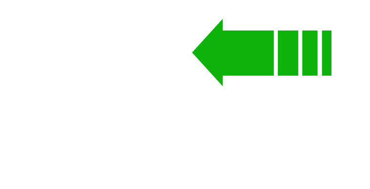 Back To The Forest